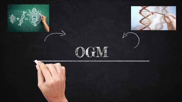 OGM - Sofia v2 | Genially