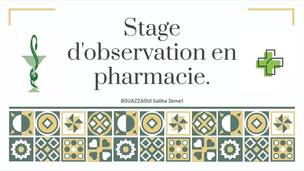 Stage d'observation 3ème diapo | Genially