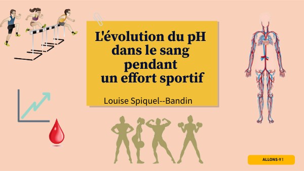 L'évolution du pH dans le sang pendant un effort sportif | Genially