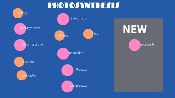 Unit 3: matter cycling and photosynthesis