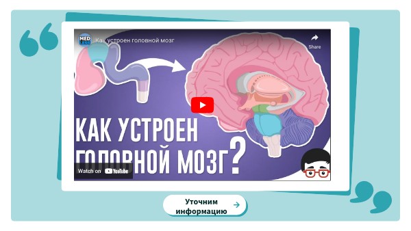 EXPAND FLASHCARD | Genially