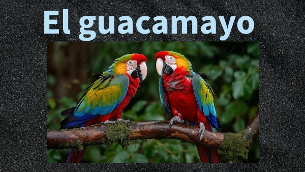 EL GUACAMAYO | Genially