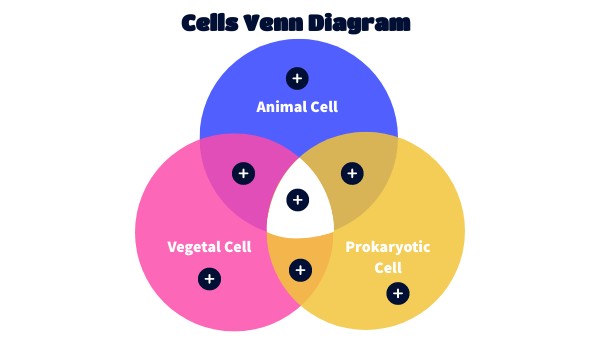 CELLS VENN DIAGRAM | Genially