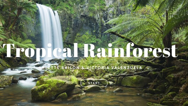Tropical rainforest | Genially