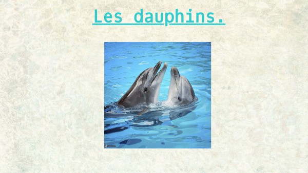 OCEANIA MAP | Genially