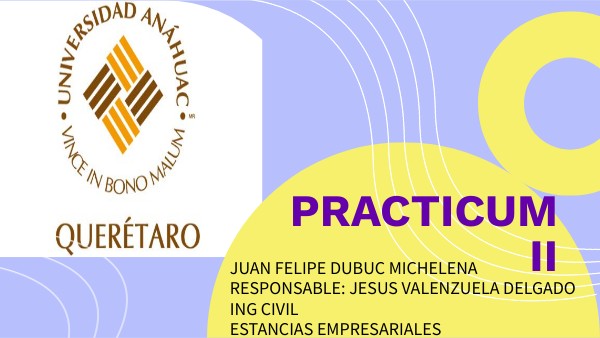 PRESENTACIÓN PRACTICUM II