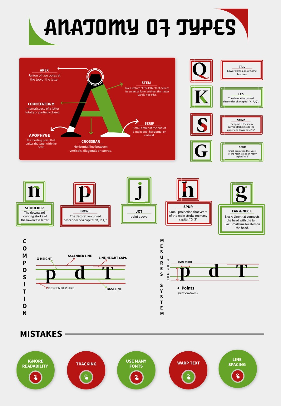 anatomy of type2