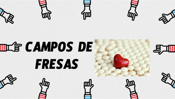 libro campos de fresas