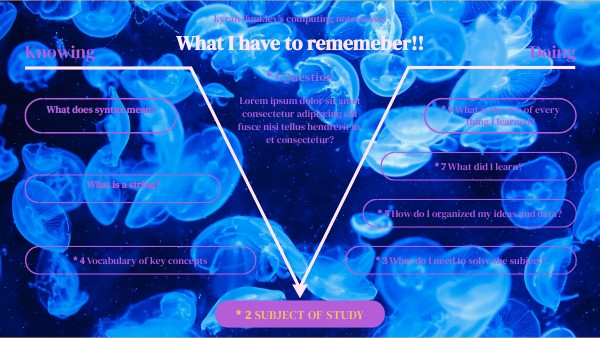 HIGH SCHOOL GOWIN'S VEE INFO