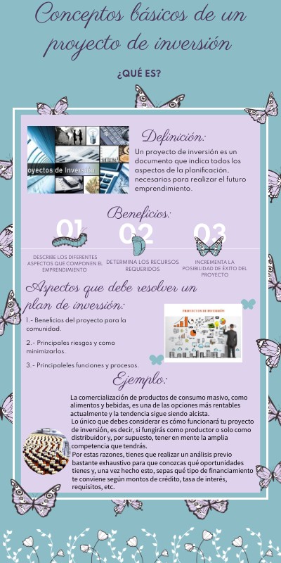 CONCEPTOS BÁSICOS DE UN PROYECTO DE INVERSIÓN | Genially