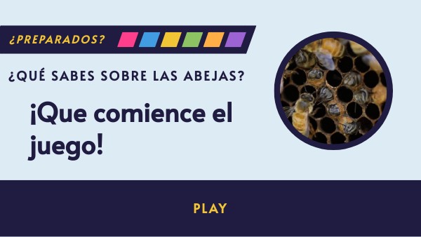 QUIZ TRIVIAL ABEJAS