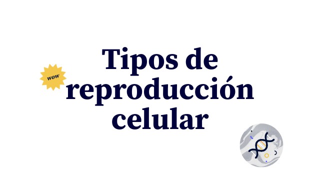 Video Tipos de reproducción celular | Genially