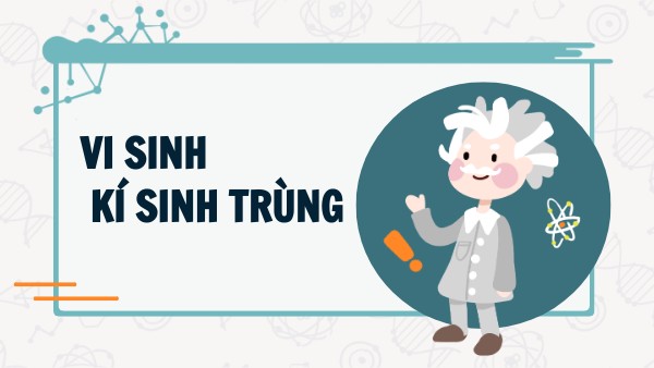 VI SINH KY SINH TRUNG | Genially