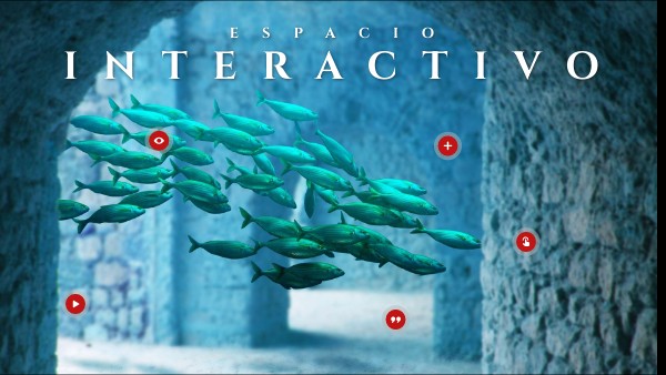Imagen Interactiva Espacio