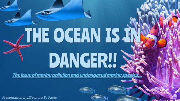 OCEAN PRESENTATION II