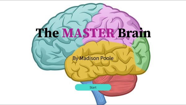 Copy - Master Brain