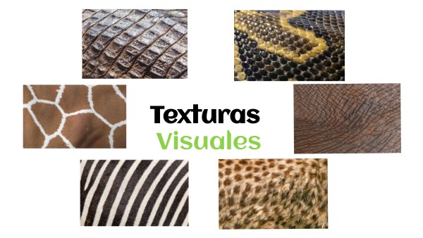Texturas Visuales