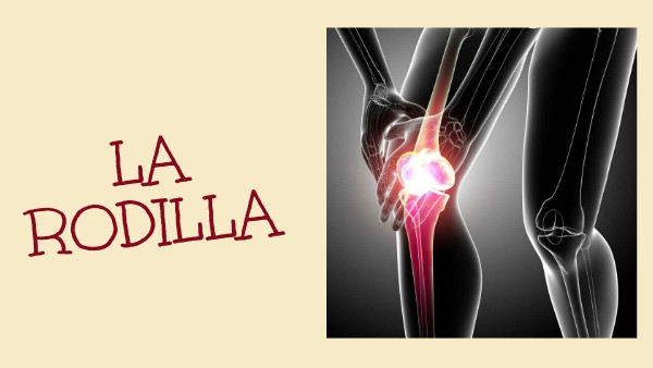 LA RODILLA