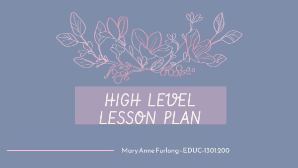 High Level Lesson Plan - Mary Anne Furlong