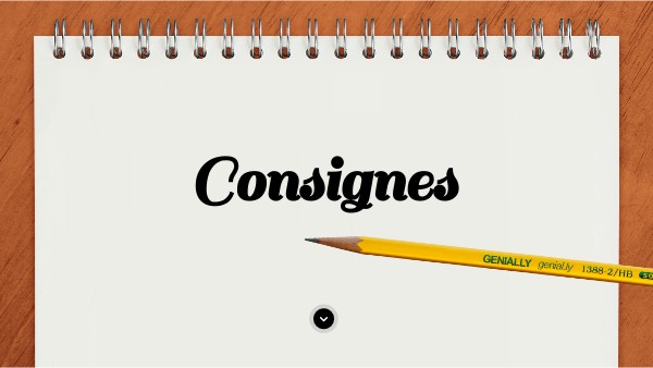 Consignes programmes