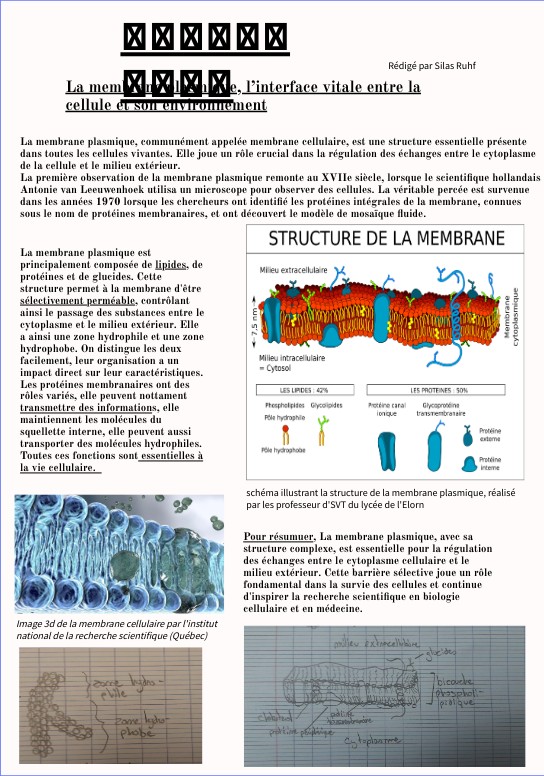 Membrane cellulaire | Genially