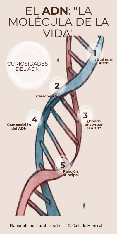 EL ADN: "LA MOLÉCULA DE LA VIDA" | Genially