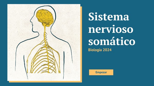 Sistema nervioso somático | Genially