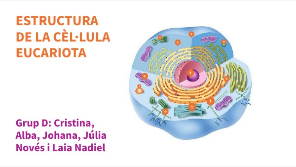 Cèl·lula grup D | Genially