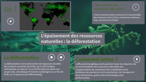 L'épuisement des ressources naturelles : la déforestation | Genially