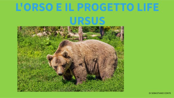 life ursus di sebastiano conte