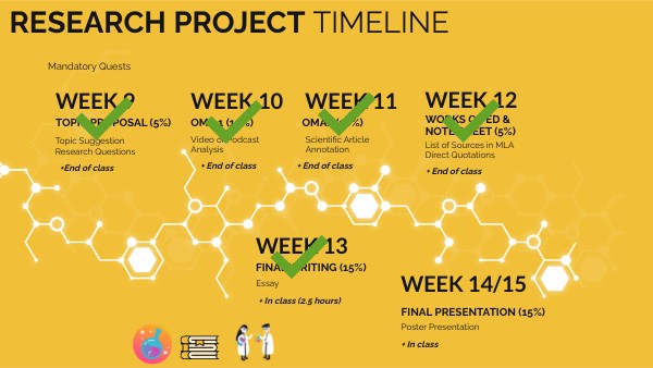 Research Project Timeline