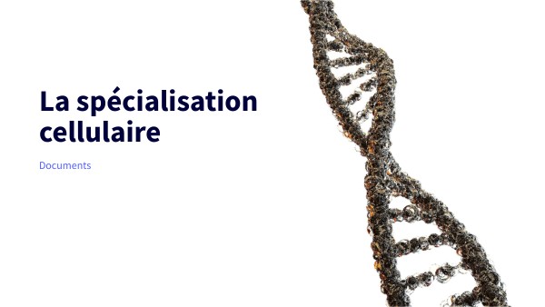 La spécialisation cellulaire | Genially