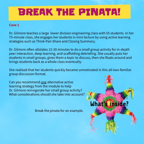 PINATA-Small Class