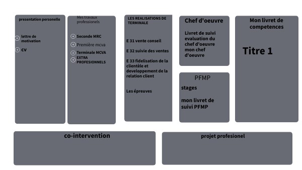 Essential Dossier | Genially