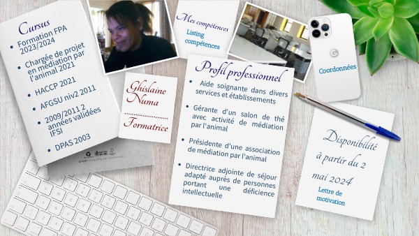 Copie - CV dématérialisé Génially