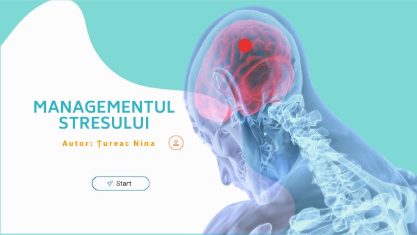 managementul stresului