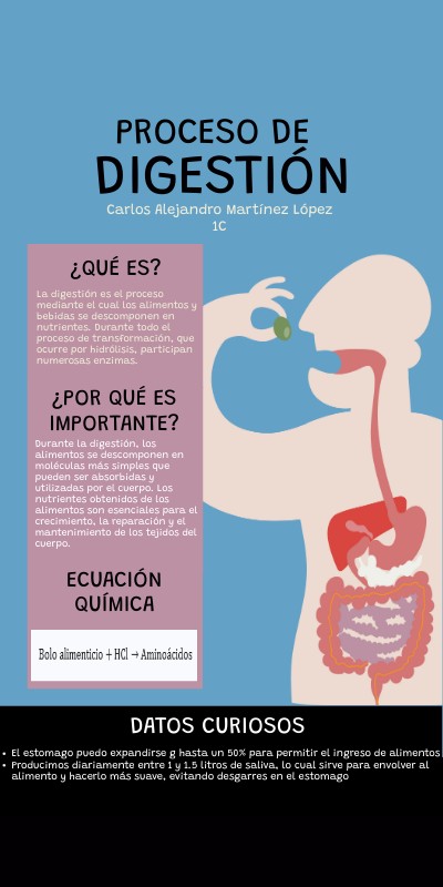 INFO VERTICAL DIGESTIVO | Genially