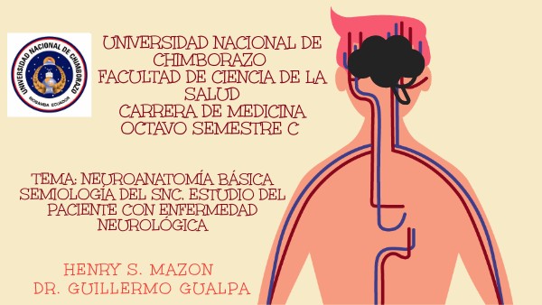 Neuroanatomía básica semiología del SNC | Genially