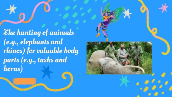 The hunting of animals (e.g., elephants and rhinos) for valuable body