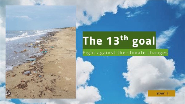 Presentazione di inglese:The 13th goal