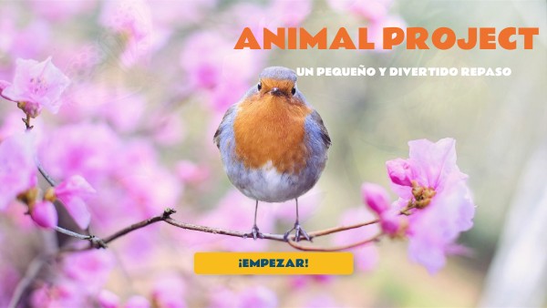 ANIMAL PROJECT