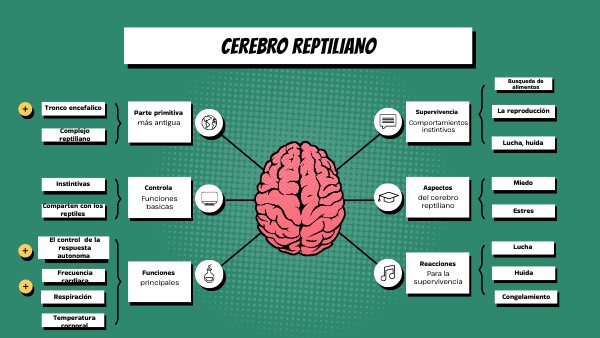 Brain Mindmap | Genially