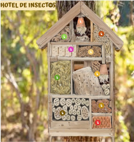 Hotel de insectos interactivo
