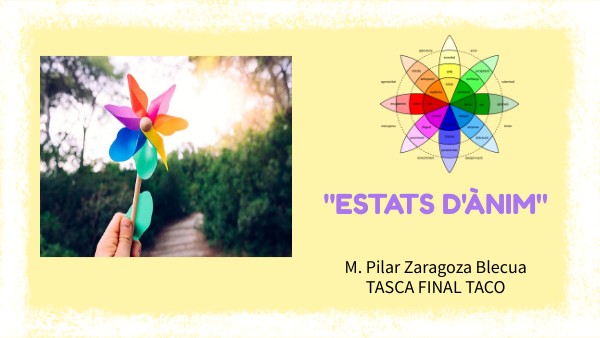 ESTATS D'ÀNIM- TASCA FINAL TACO