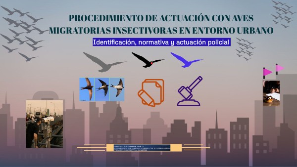 Actuación con insectivoras migratorias | Genially