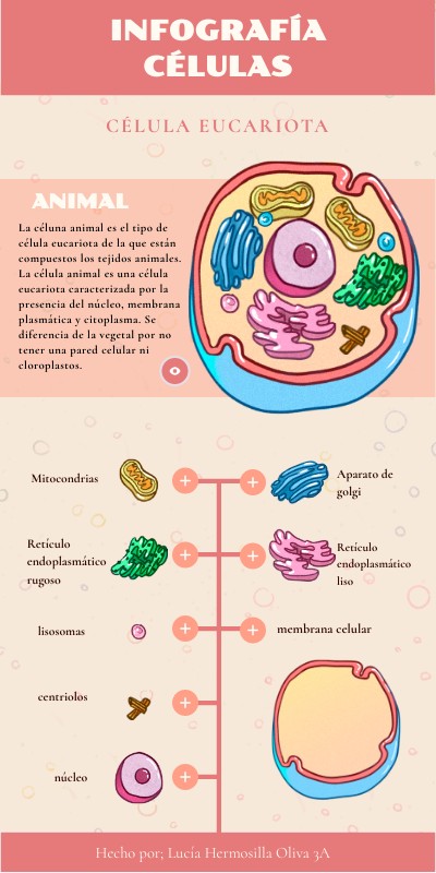 biología células | Genially
