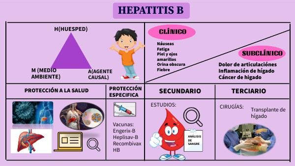 HEPATITIS B | Genially