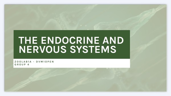 ENDOCRINE AND NERVOUS SYSTEM | Genially