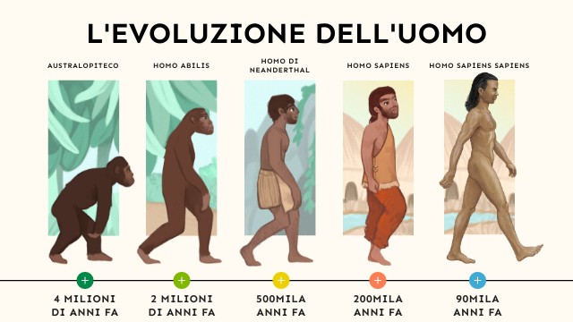 L'EVOLUZIONE DELL'UOMO | Genially
