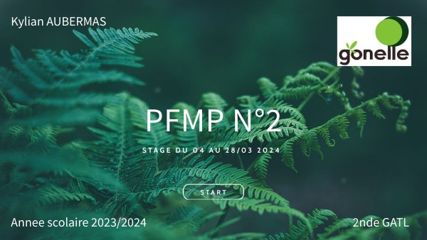 ACTIVITÉ PFMP2